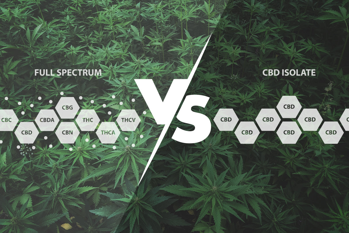 CBD Isolate vs Full Spectrum for Anxiety | Bliss Formula